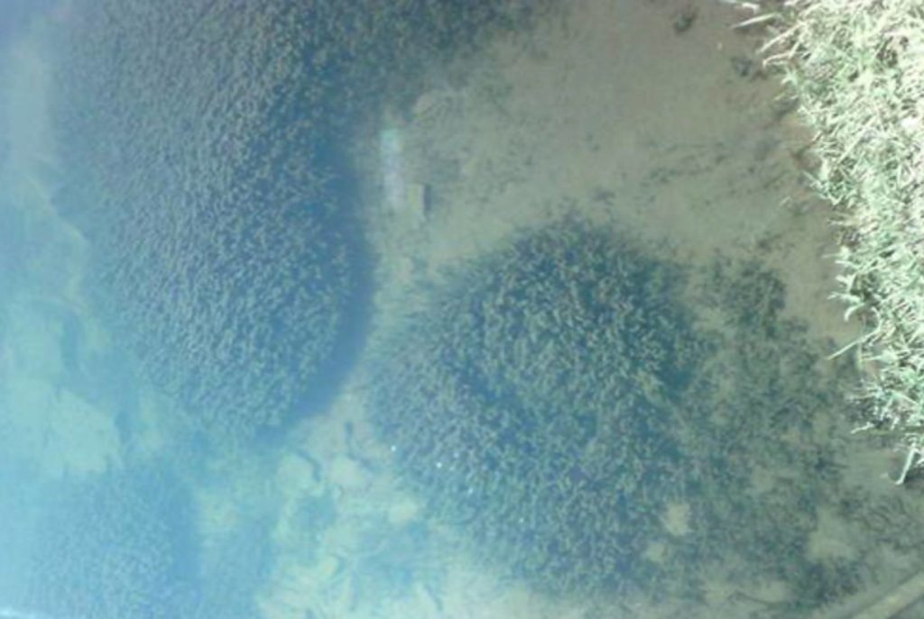 Nuestra solución - Aquacorp